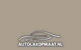 Lakstift Autolak Volvo kopen? | Autolakopmaat.nl