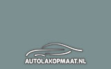 Lakstift Autolak Volvo kopen? | Autolakopmaat.nl